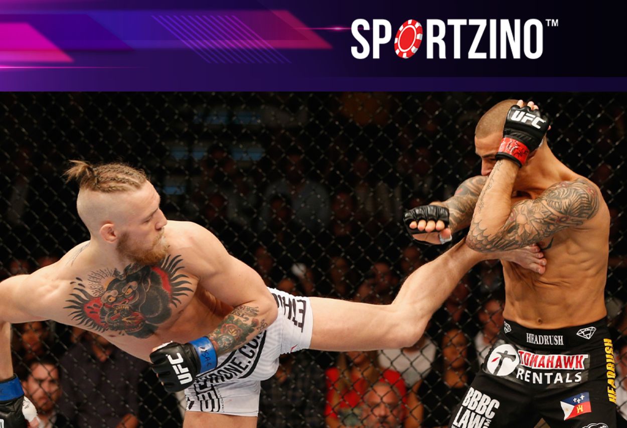 How to Read UFC Odds? • Blog Sportzino