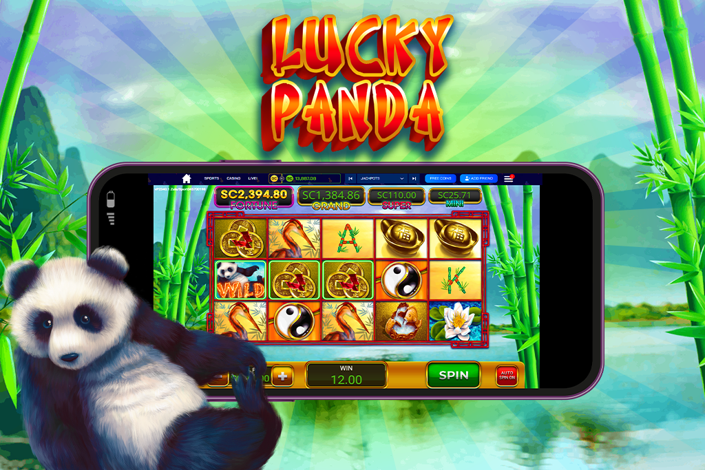 The Best 5 Slots With Progressive Jackpots | Sportzino
